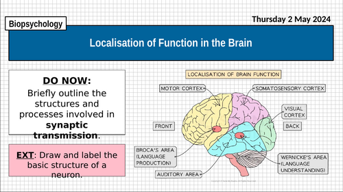 A-Level Psychology - LOCALISATION OF FUNCTION IN THE BRAIN ...
