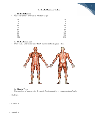 Anatomy and Physiology (Sport, 2016 exam) - Full unit | Teaching Resources