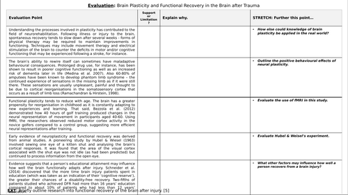 A-Level Psychology - BRAIN PLASTICITY AND FUNCTIONAL RECOVERY AFTER ...