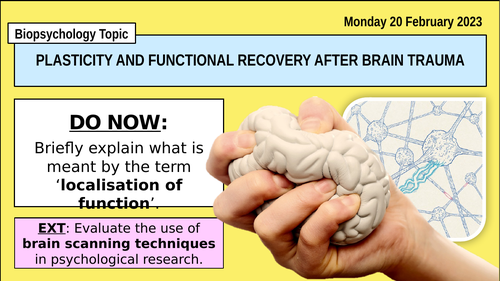 A-Level Psychology - BRAIN PLASTICITY AND FUNCTIONAL RECOVERY AFTER ...