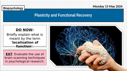 A-Level Psychology - BRAIN PLASTICITY AND FUNCTIONAL RECOVERY AFTER ...