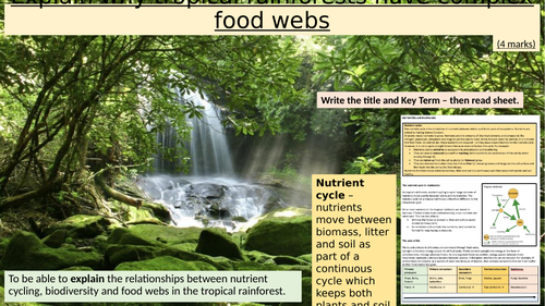 GCSE GEOG - Tropical rainforest complex nutrition cycle. | Teaching ...