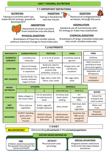 GCSE Nutrition REVISION GUIDE | Teaching Resources