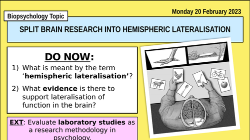 A-Level Psychology - SPLIT BRAIN RESEARCH INTO HEMISPHERIC ...