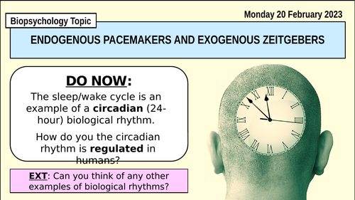 A-Level Psychology - ENDOGENOUS PACEMAKERS AND EXOGENOUS ZEITGEBERS ...