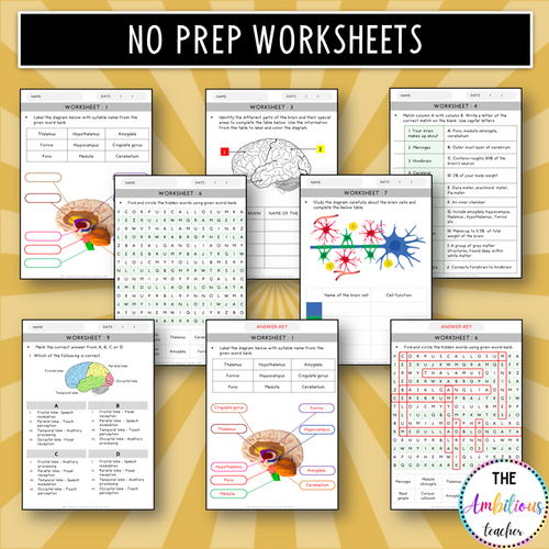 Human Brain Unit + Worksheets | Structure, Parts, Functions| Printable ...