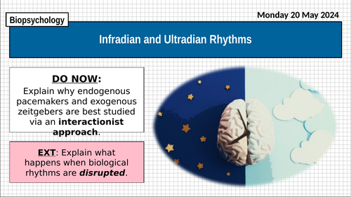 A-Level Psychology - INFRADIAN AND ULTRADIAN RHYTHMS [Biopsychology ...