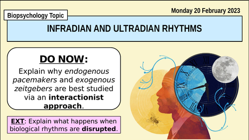 A-Level Psychology - INFRADIAN AND ULTRADIAN RHYTHMS [Biopsychology ...