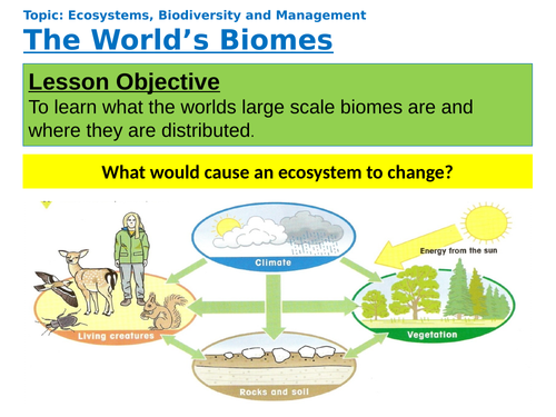 Biomes Around the World | Teaching Resources