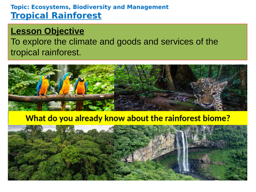 Tropical Rainforest Climate | Teaching Resources