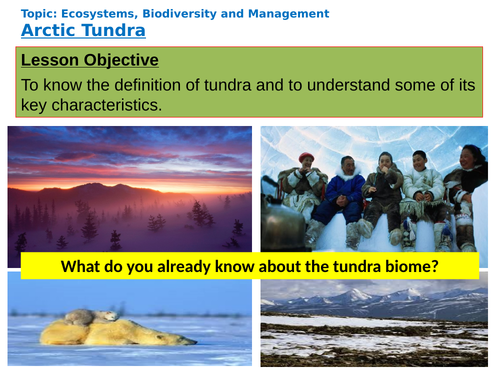 Arctic Tundra | Teaching Resources