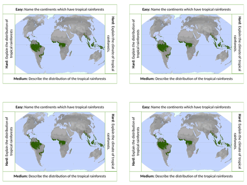 Physical Characteristics of Rainforests | Teaching Resources
