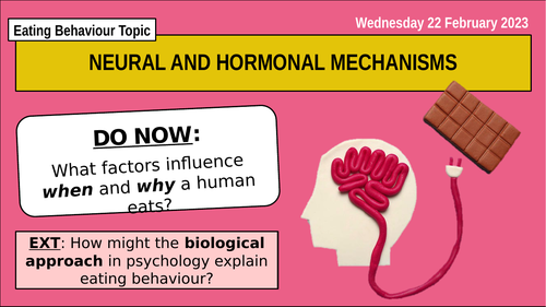 A-Level Psychology - NEURAL AND HORMONAL MECHANISMS [Eating Behaviour ...