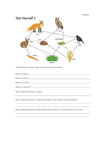 7D - Transfers in food chains pt1 | Teaching Resources