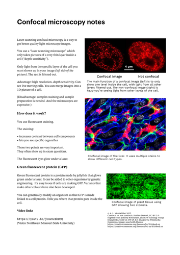 Confocal microscopy revision notes | Teaching Resources