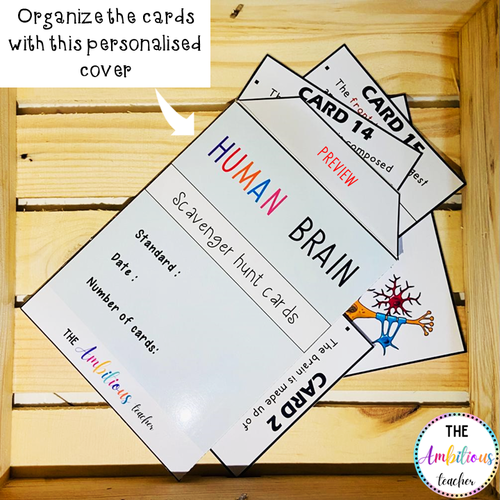 The Human Brain Activity | Scavenger Hunt | Worksheet, Fun Assessment ...