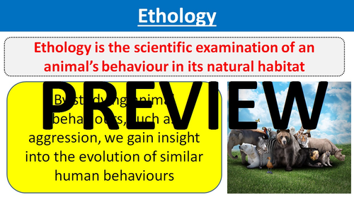 Ethological explanation of aggression - AQA A Level Psychology ...