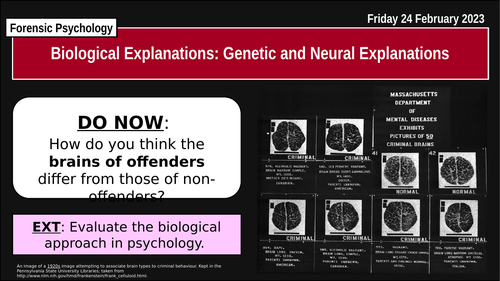 A-Level Psychology - GENETIC AND NEURAL EXPLANATIONS FOR OFFENDING ...