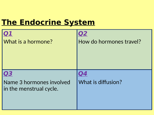Endocrine System and Diabetes Revision | Teaching Resources