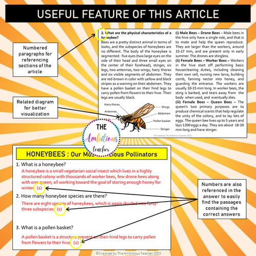 Science Literacy Article :Honeybees - Close Reading Passages ...