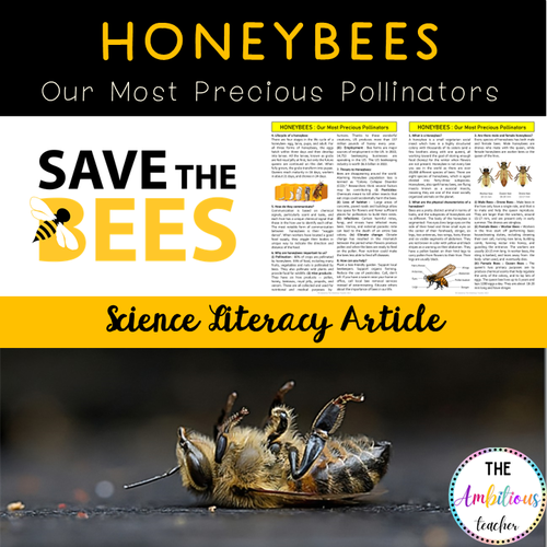 Science Literacy Article :Honeybees - Close Reading Passages ...