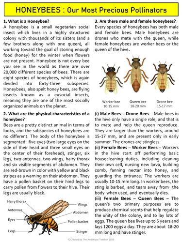 Science Literacy Article :Honeybees - Close Reading Passages ...
