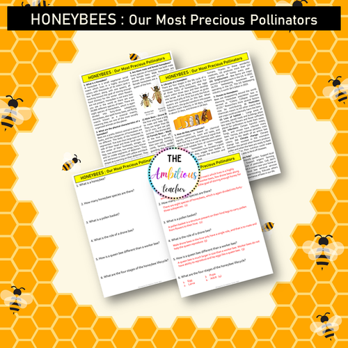 Science Literacy Article :Honeybees - Close Reading Passages ...