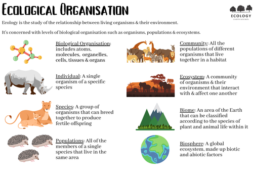 Ecology Revision Aids 1 (x10) | Teaching Resources