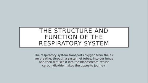 AQA GCSE PE - Respiratory system | Teaching Resources