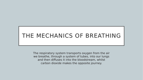 AQA GCSE PE - Mechanics of breathing | Teaching Resources