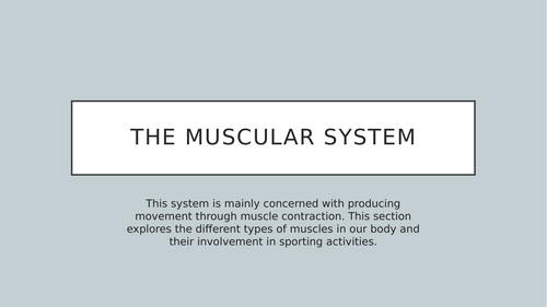 AQA GCSE PE - Muscles | Teaching Resources