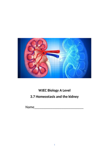 Homeostasis and the Kidney | Teaching Resources