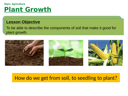 Plant Growth KS4 | Teaching Resources