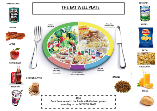 Food Technology: Eat Well Plate Activities | Teaching Resources