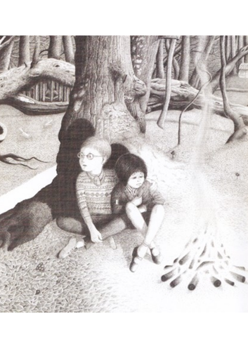 INTO THE FOREST BY ANTHONY BROWNE ENGLISH UNIT | Teaching Resources