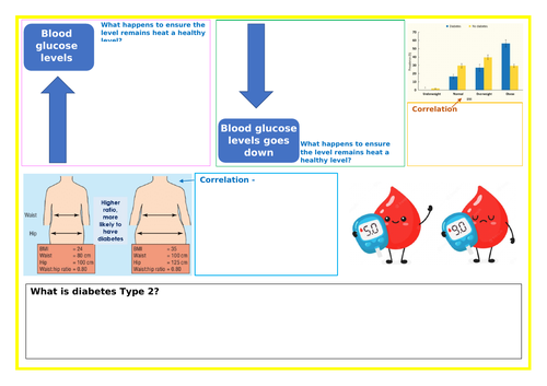Blood glucose homeostasis and type 2 diabetes GCSE revision | Teaching ...