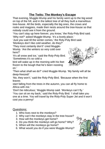 The Twits Roald Dahl Comprehension | Teaching Resources