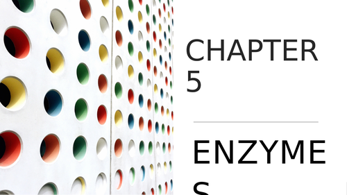 IGCSE Biology : Chapter 5 - Enzymes (Notes) | Teaching Resources