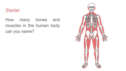 Bone, Muscle & Joint Injuries First Aid Tutorial | Teaching Resources