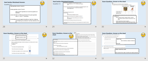 Selective Breeding Inheritance Gcse Teaching Resources 
