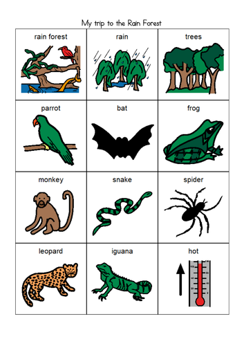 My trip to the Rainforest with Symbols | Teaching Resources
