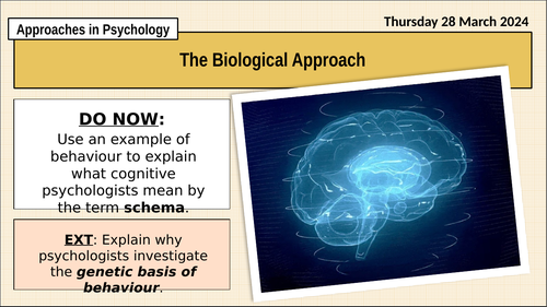 A-Level Psychology - THE BIOLOGICAL APPROACH [Approaches in Psychology ...
