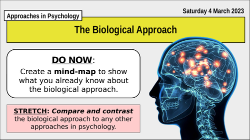 A-Level Psychology - THE BIOLOGICAL APPROACH [Approaches in Psychology ...