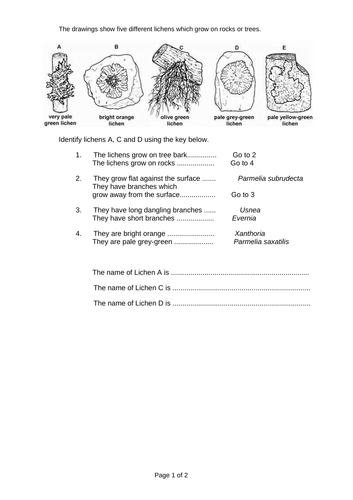 Year 7 Environmental Science Week - 5 Lessons | Teaching Resources