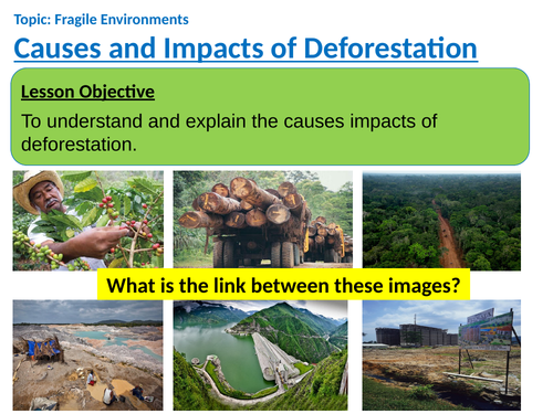 Causes and Impacts of Deforestation | Teaching Resources