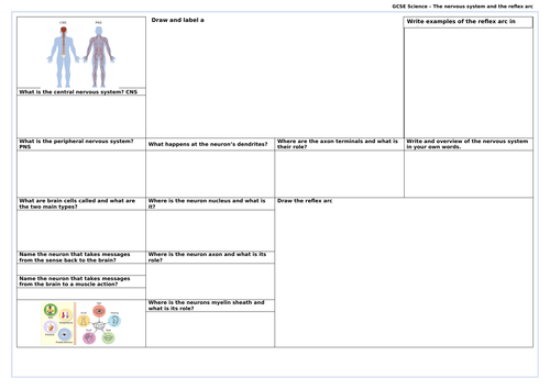 Nervous system and reflex arc GCSE Science revision | Teaching Resources