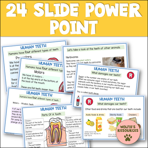 Teeth KS2 | Year 4 | Dental Care | Healthy Teeth | Activities And Power ...