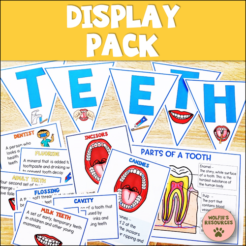 Teeth KS2 | Year 4 | Dental Care | Healthy Teeth | Activities And Power ...