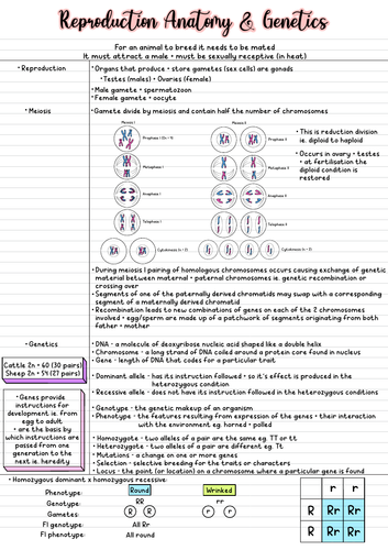 Animal Reproduction Notes (Agriculture) | Teaching Resources