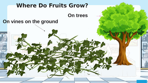 Fruits and Vegetables | Teaching Resources